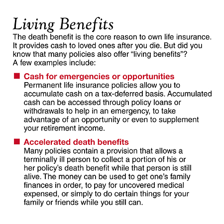 Webb Insurance Inc. Products & Services